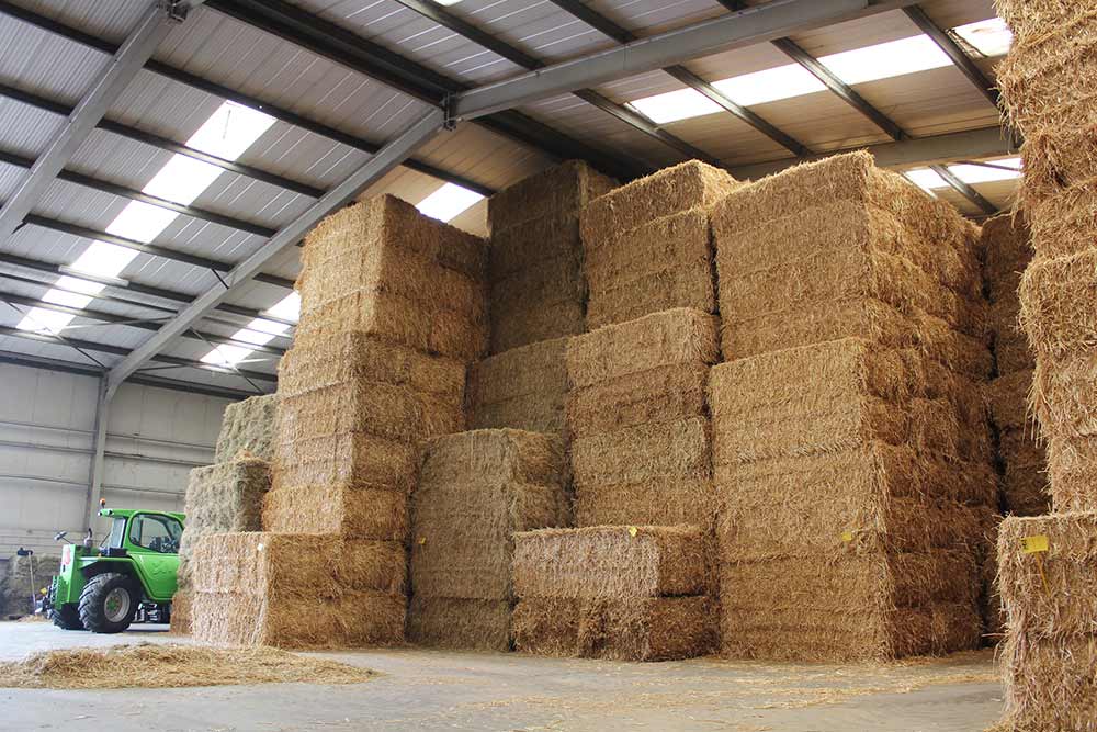 Stro te koop - Kleine en grote strobalen - Lang tarwestro kopen