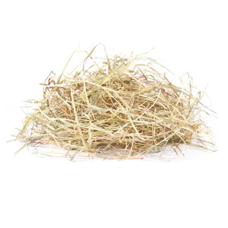 Voordroog hooi te koop - Kleine en grote balen verpakt Kuilgras