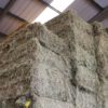 Hooi te koop - Fris weidehooi kopen in grote en kleine hooibalen