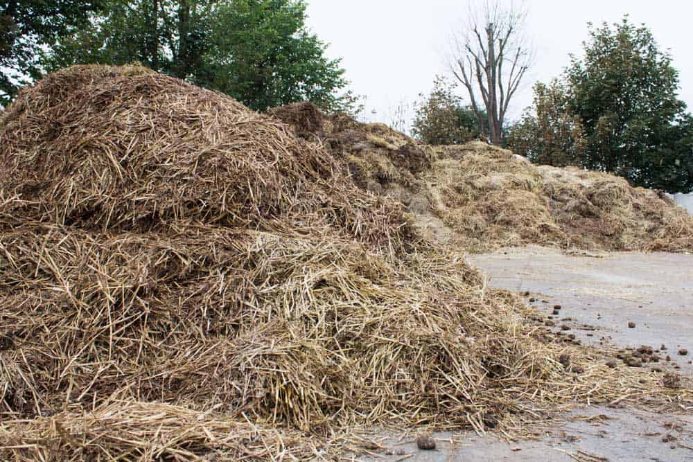 Mest afvoeren - Paardenmest ophalen uit mestcontainer en mesthoop