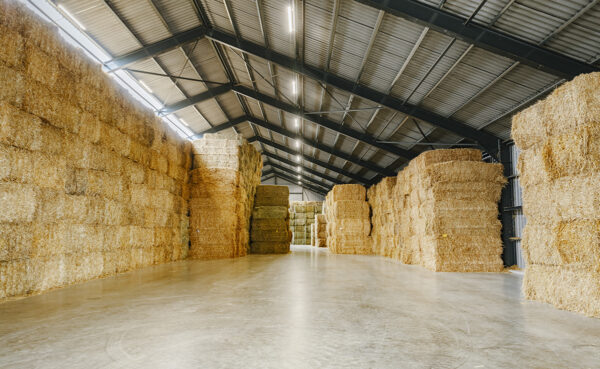 Stro te koop - Kleine en grote strobalen - Lang tarwestro kopen