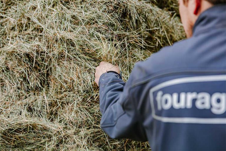 Verschil tussen hooi en stro - Nijssen Fourages