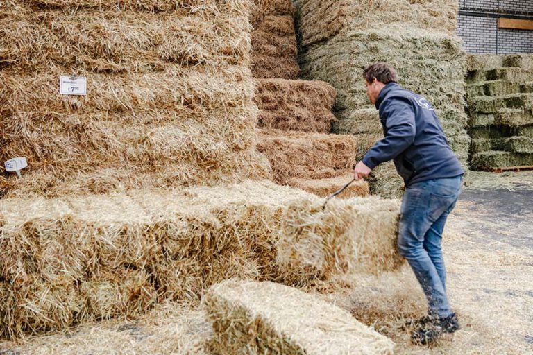 Hoeveel kleine pakjes hooi zitten er in een grote hooibaal? - Nijssen ...