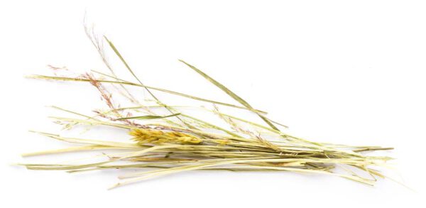 Geanalyseerd hooi kopen: Weten wat je voert aan je paard - Nijssen Fourages